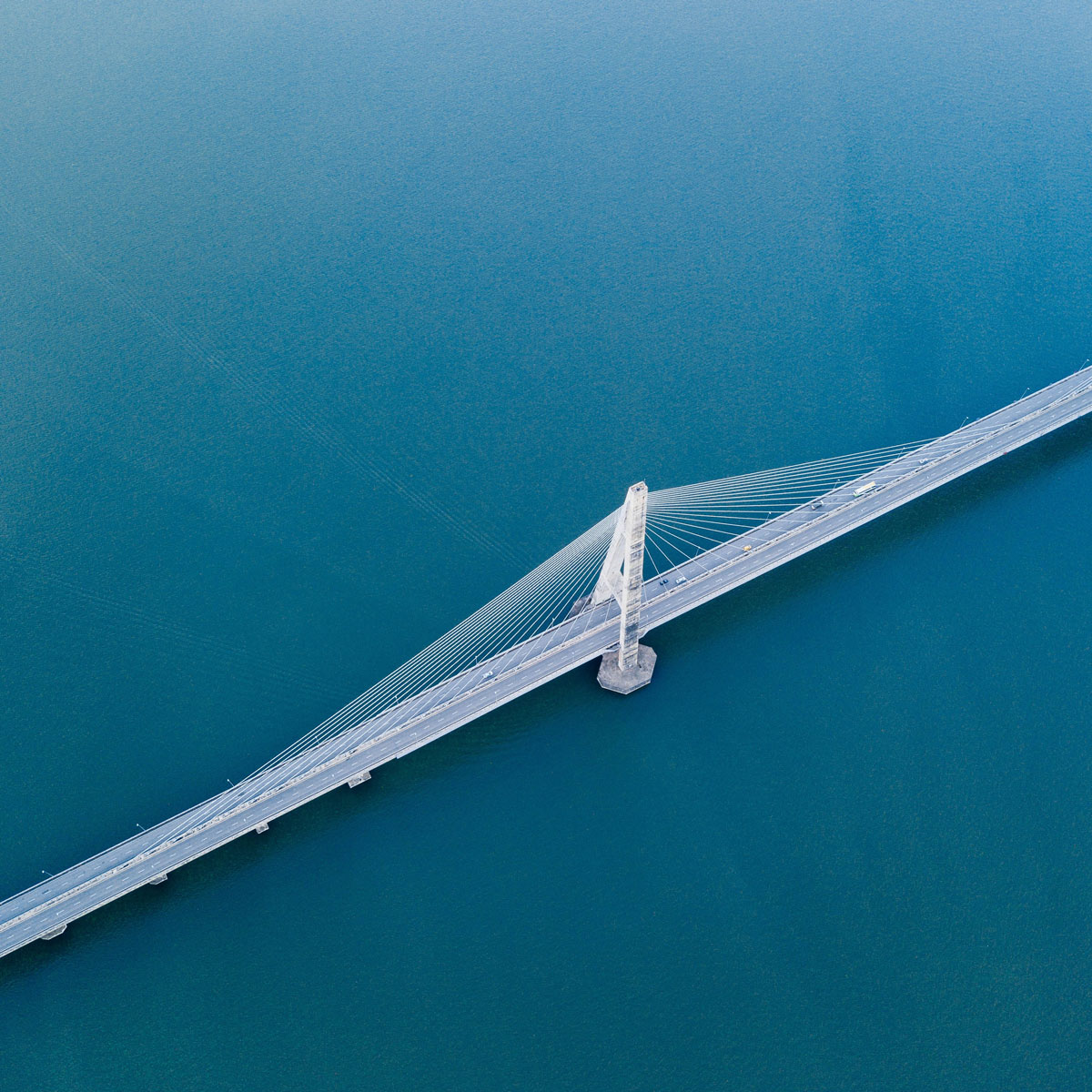 PRIMEPULSE expands to the US: Building Powerful Bridges for Future ...